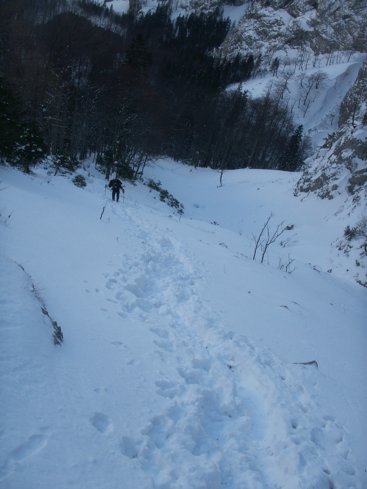 das Gaisloch & die Adlitzgräben | Florian Thamer